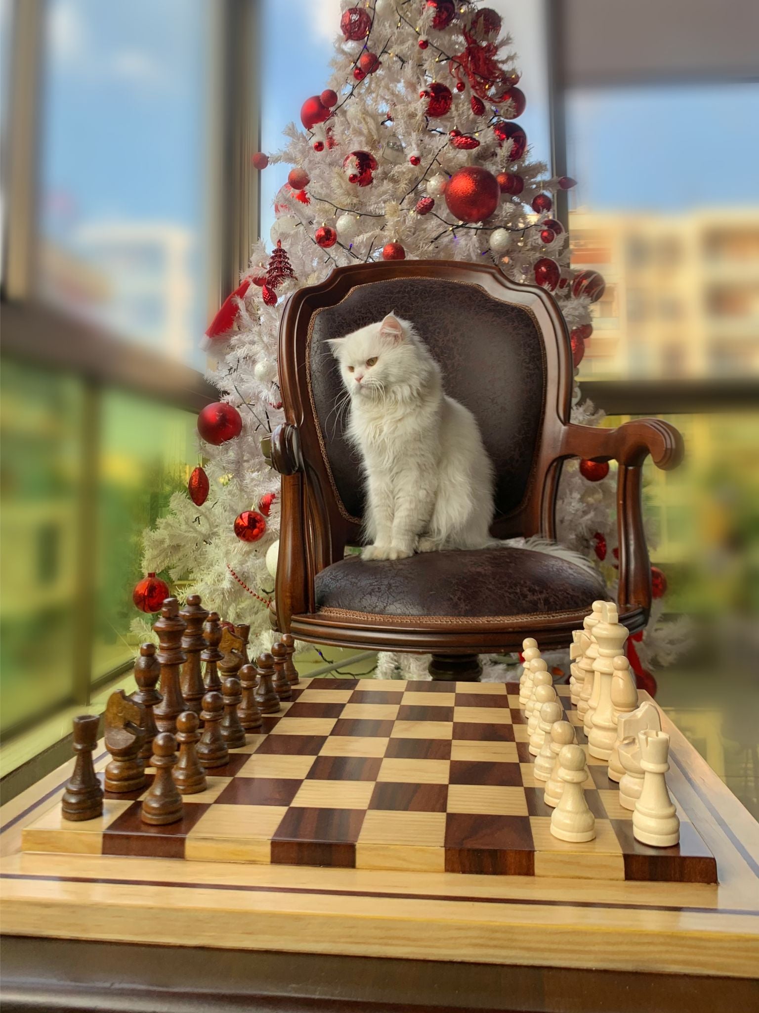 Brown/beige chess – chessleb